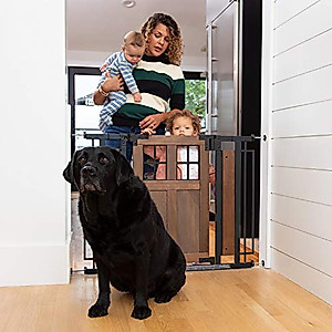 Evenflo Barn Door Walk-Thru Gate (Farmhouse Collection)