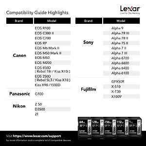 Lexar 1TB Professional 1066x SDXC Memory Card, UHS-I, C10, U3, V30, Full-HD & 4K Video, Up to 160MB/s Read, for DSLR and Mirrorless Cameras (LSD1066001T-BNNNU)