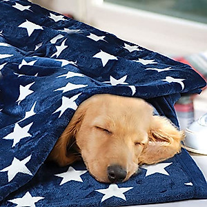 Yoofoss Fleece Throw Blanket Plush Flannel Velvet Bed Blankets and Throws for Sofa Couch (86x94In, Blue)