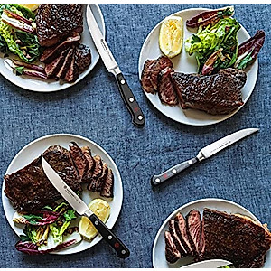 WÜSTHOF Classic 4-Piece Steak Knife Set
