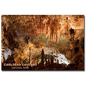 Carlsbad Caverns National Park Travel Landscape Refrigerator Magnet Size 2.5" x 3.5"