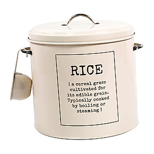 Stainless Steel Rice Storage Box with Lid and Spoon, Large Food Storage Containers, Great Rice Canisters Sets, Kitchen Countertop Organizer Jar for Rice/Flour/Soybean/Grain, Style B