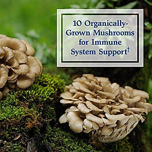 Garden of Life Organic Fermented Mushroom Complex - RM-10 Immune System Supplement with Selenium, Vegetarian, 120 Count