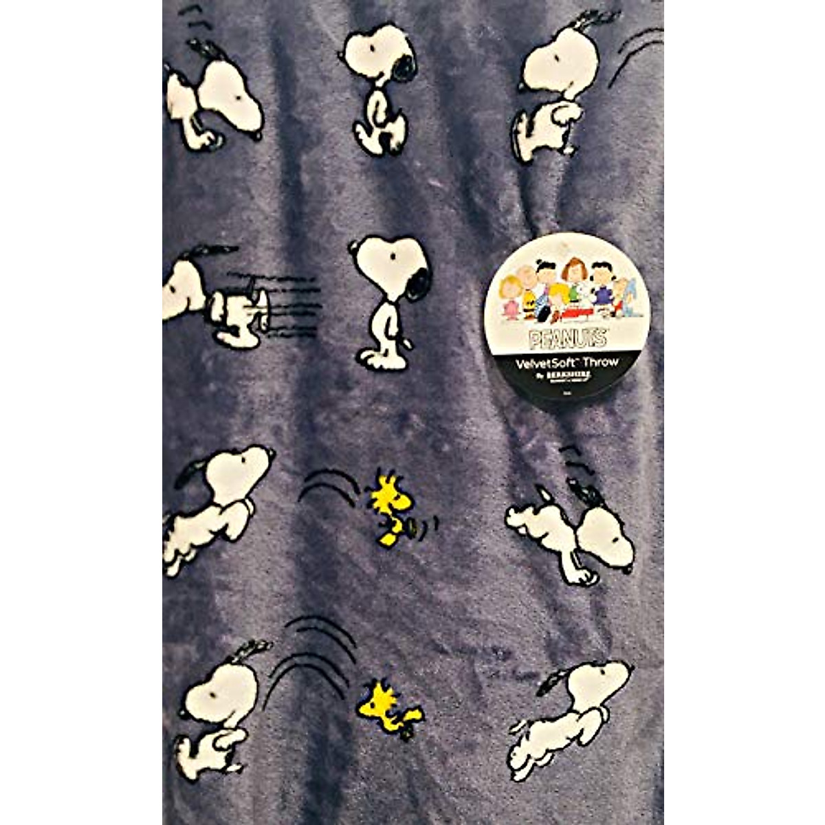 Snoopy & Woodstock Playtime Velvet Soft Cozy Plush Throw Blanket | 55" x 70" | by Berkshire Blanket & Home Co.