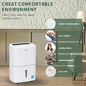 Shinco 6,000 Sq.Ft Energy Star Dehumidifier, Ideal for Large Rooms and Home Basements, Efficient Moisture Removal with Adjustable Humidity Control, 1.32 Gallons Water Tank