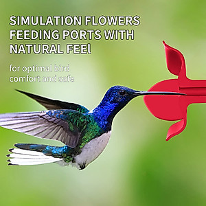 Billion Sky Hummingbird Feeder for Outdoors, Lantern Shaped Bottle, 6 Simulation Flowers Feeding Ports, 26 fl.oz, Hanging for Garden Yard, Rust Proof, Red(Ant Moat Included)