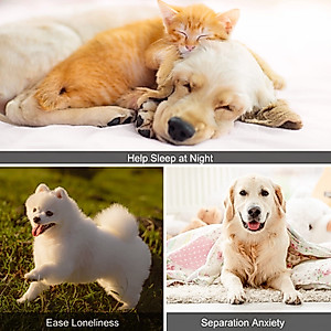 CZTNNZK Heartbeat Puppy Toy for Anxiety Relief Dog Behavioral aid Toy for Puppies Sleep Aid Separation Anxiety Soother .for Small Medium and Large Dogs Calming Aid Heartbeat Plush Toys.