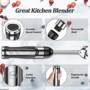 Immersion Blender LINKChef Hand Blender with Whisk 3 in 1 800W ,Variable Speed Controler,304 Stainless Steel Ice Crush Blade with Whisk, Milk Frother