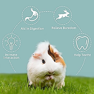 HOORITO 20Pcs Natural Flowers Flavored Timothy Hay Sticks,Rabbit Chew Toys for Teeth,Guinea Pig chew Sticks,Perfect Chew Toys for Bunny Hamsters Chinchillas Guinea Pigs Rats Gerbils (20-Pack)