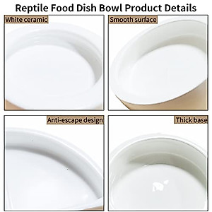 Reptile Food Water Bowl Set Lizard Feeder Ceramics Bowls Worm Live Fodder Container for Bearded Dragon Chameleon Lizard Hermit Crab Gecko Tortoise Spider Pet 3 Pieces