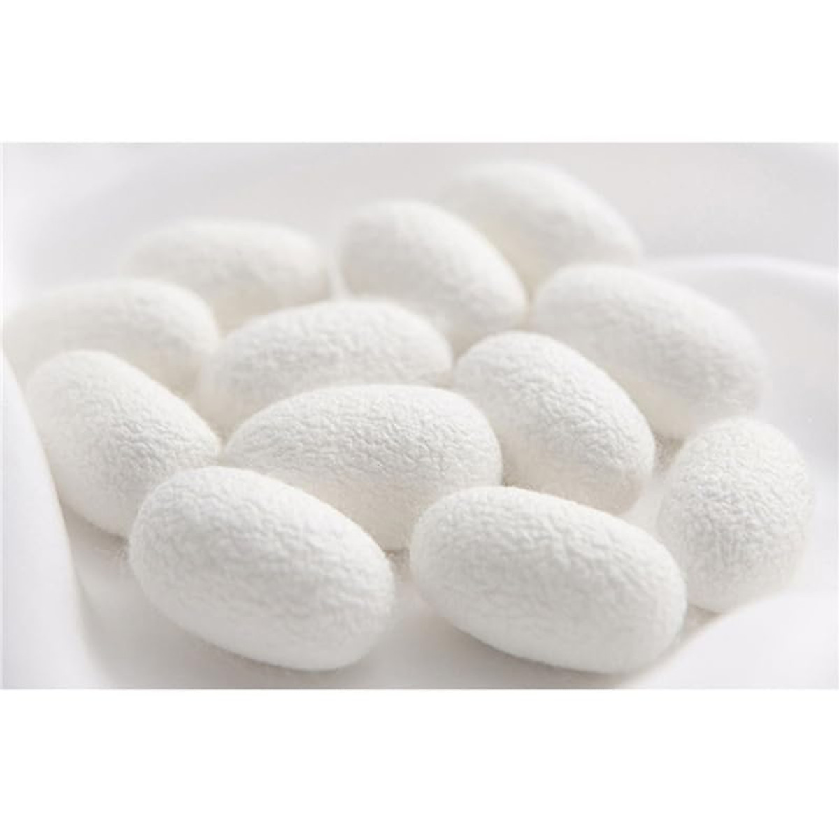 Women's 100% Mulberry Silk Scarf Floral Print Satin Long Scarf Wrap Shawl (Pxdy4)