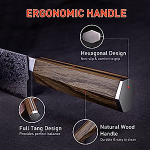 FUJUNI Chef Knife 6 inch, Professional Chef Knife VG 10 Damascus Super Steel 67-Layer Razor Sharp Kiritsuke Knife with Natural Wood Handle