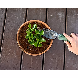 Jade Plant Potting Soil Mix (8 Quarts), Hand Blended Additive for Jade Succulents