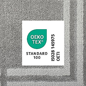 TOWN & COUNTRY EVERYDAY Cloud Shag Plush Border Area Rug with High-Low Pile, Grey, 7'10"x10'2"