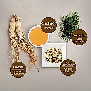 Ryo Scalp Deep Cleansing & Cooling Conditioner 500ml (16.9oz) Excess sebum care, For smelly scalp, Fermented mint and other natural ingredients, Anti- Dandruff treatment