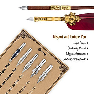 Hethrone Feather Pen and Ink Set - Quill Pens Calligraphy Pen Set Fountain Dip Pen