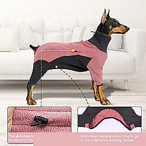 Etdane Dog Winter Coat Warm Fleece Cold Weather Jackets Full Body Shedding Onesie High Collar Pet Sweater for Small Large Medium Dogs Grey/Pink X-Small