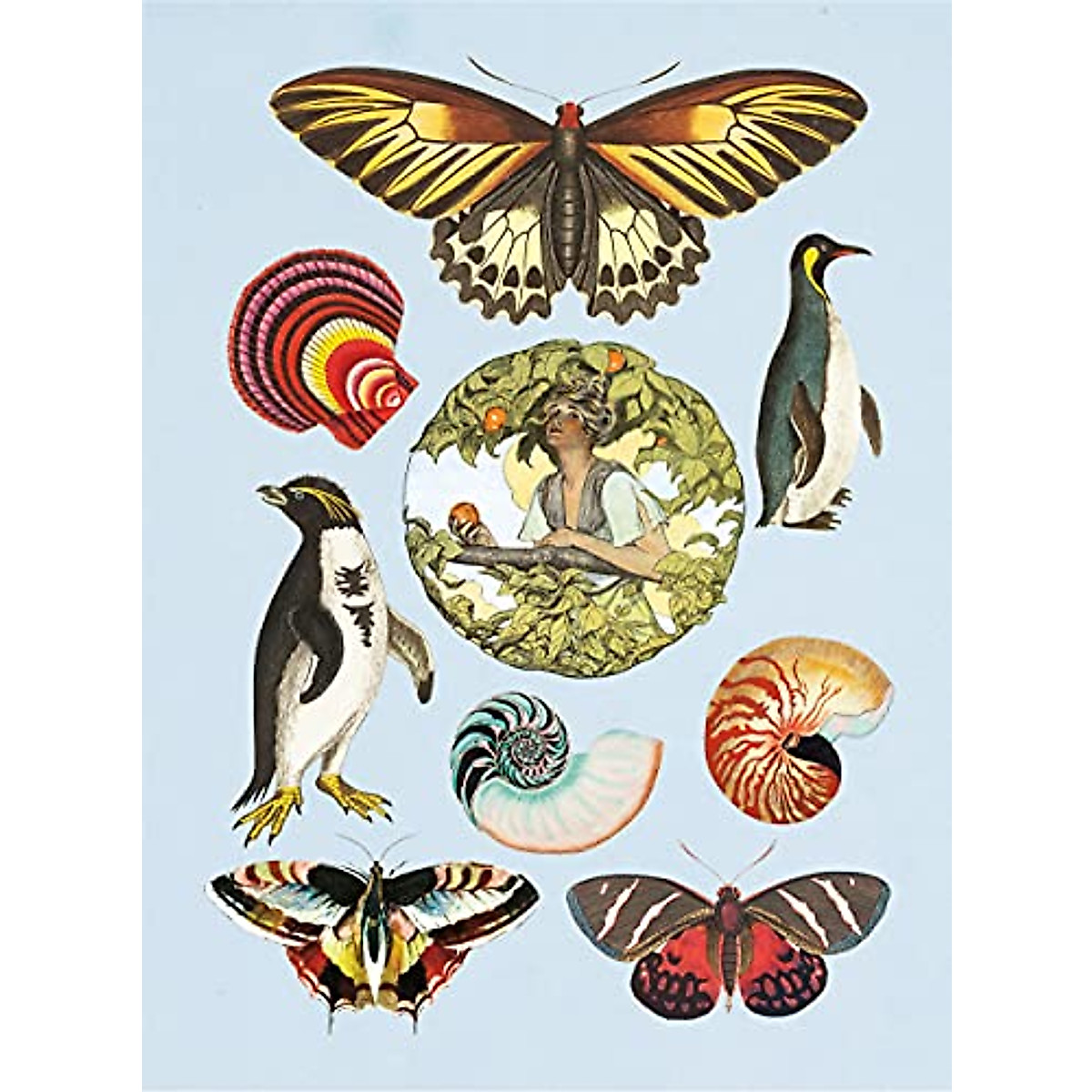 The Antiquarian Sticker Book: Over 1,000 Exquisite Victorian Stickers (The Antiquarian Sticker Book Series)