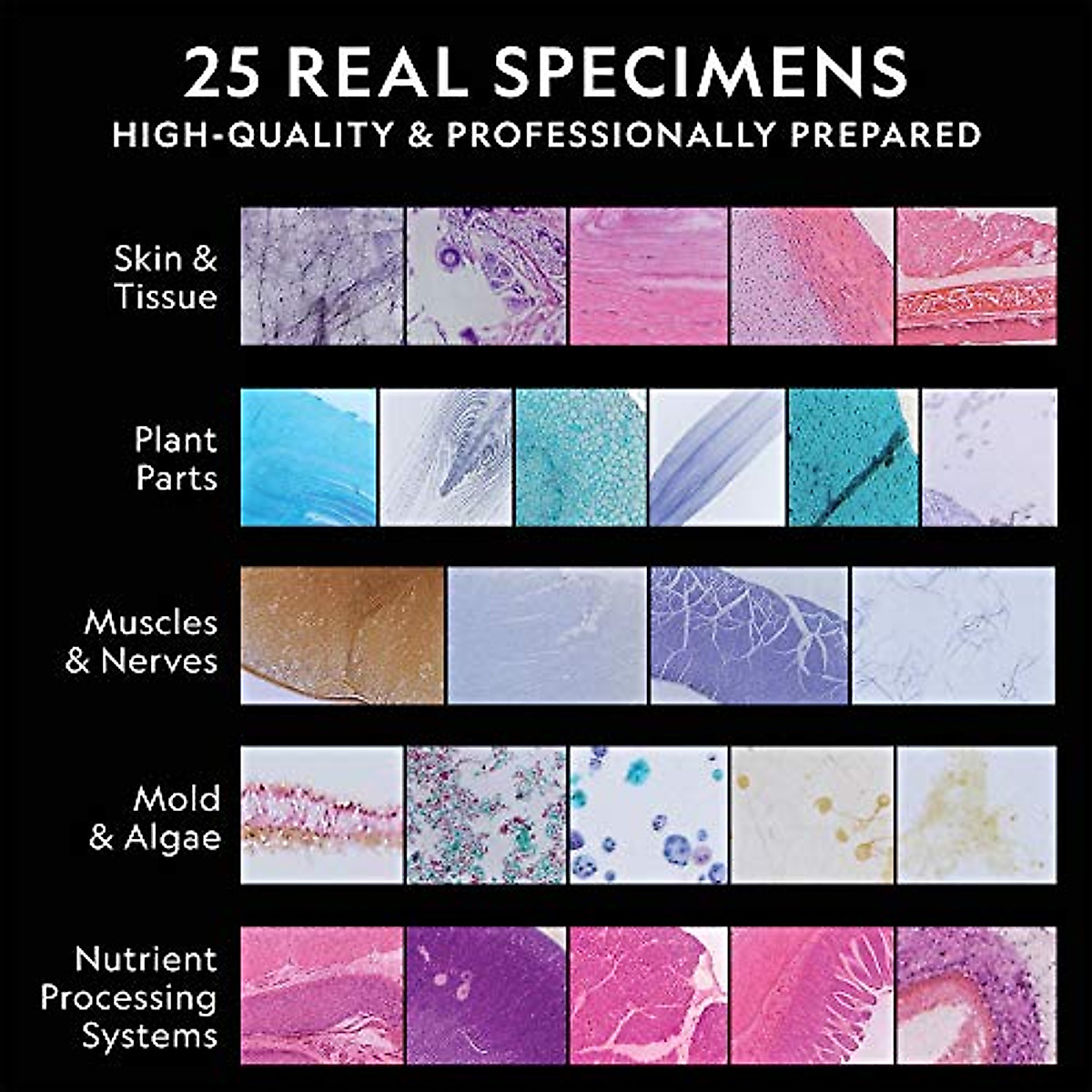 NATIONAL GEOGRAPHIC Mega Biology Set -8 years and up, Professional Grade Specimens, 25 Prepared Microscope Slides, Detailed Learning Guide and Storage Box,