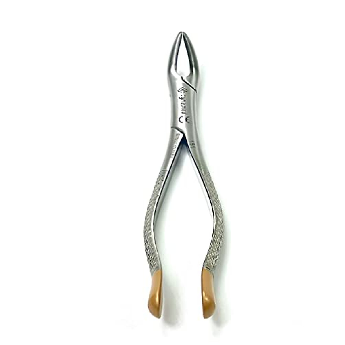 German Dental Extracting Forceps #151-Lower Bicuspid, Lower Incisor, Lower Root, Universal Extraction Forceps Dental Instruments -Cynamed