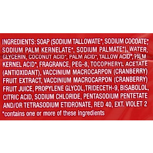 Dial Skin Care Bar Soap, Power Berries, 4 Ounce, 16 Bars