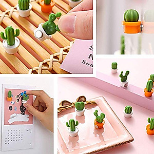 Fridge Magnet, 48 Pcs Refrigerator Magnets for Whiteboard, Cute Magnets Fridge, 6 Different Shaped Cactus Locker Magnets, Strong Fridge Magnets Fun Decorative Magnets for Fridge Kitchen Office