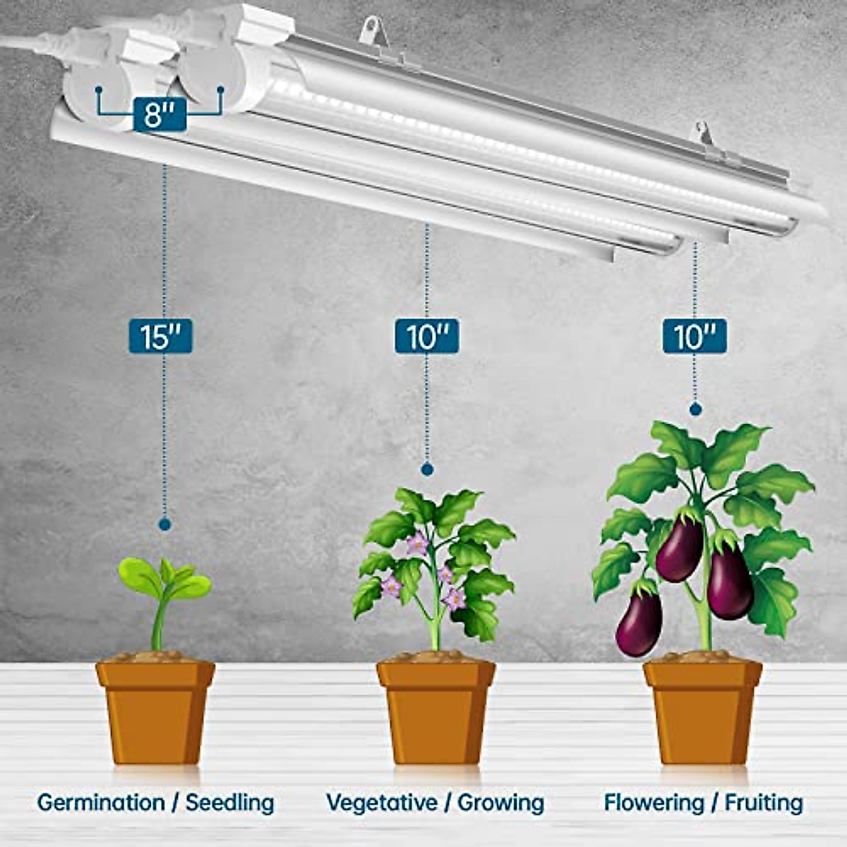 Barrina Grow Lights for Indoor Plants, 3FT 5000K Daylight White Full Spectrum Plant Lights, 180W(6 x 30W, 1000W Equivalent), T8 Grow Light Bulbs, LED Grow Light Strips, Linkable Design, 6-Pack