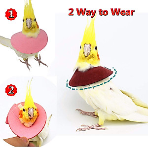 4Pack Pet Parrot Anti-bite Elizabethan Collars, Anti-Grab Feather Plucking Wound Healing Safety Collar, Protective Recovery Cones for Budgerigar Lovebird Agapornis Fischer Cockatiel Cockatoo