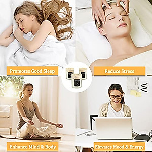 NEVAEHEART Candles for Home Scented, 3.5OZ x 3 Packs Scented Candle Set, Misty Forest | Glimmer Forest | Ebony Bergamot, Candle Gift Set for Women, Natural Soy Wax, Home Fragrance with Gift Box