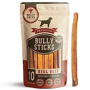 Bully Bunches Premium 12 Inch Thick Odor-Free Bully Sticks for Medium & Large Dogs - Long Lasting Chews for Oral Care - All Natural & Single Ingredient, 100% Beef Dog Treat, Rawhide Free (10 Pk)