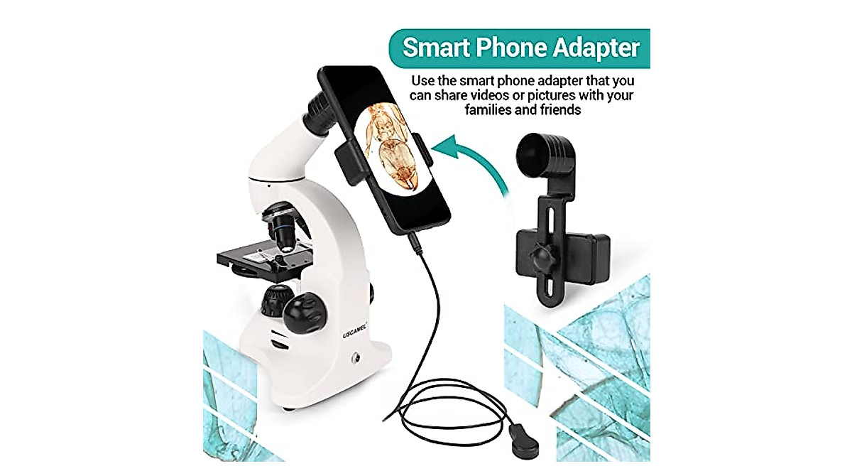 Microscope for Adults and Students - 40X-2000X Magnification with Phone ...