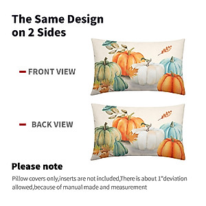 Fall Maple Leaves Lumbar Pillow Covers 12X20 In Teal Orange White Green Pumpkins Decorative Couch Pillow Cases Set of 2 Autumn Thanksgiving Throw Pillows Farm Decor For Room Porch Patio Couch Outdoor