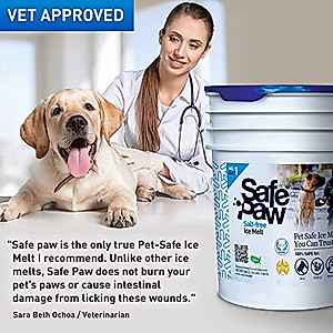 Safe Paw Child Plant Dog Paw & Pet Safe Ice Melter, 100% Salt/Chloride Free -Non-Toxic, Vet Approved, No Concrete Damage, Fast Acting Formula, Last 3X Longer – 35lbs