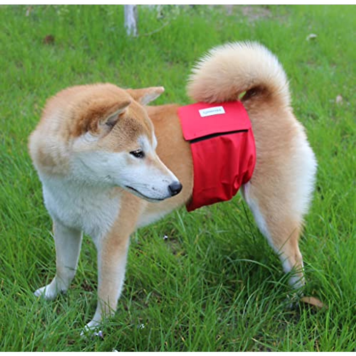 vecomfy Belly Bands for Male Dogs 5 Pack,Premium Black Mesh Lining Small Dog Belly Wrap Leakproof Washable Reusable Doggie Diapers,M