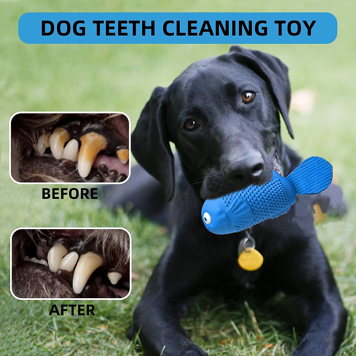 WinTour Dog Chew Toys for Aggressive Chewers, Squeaky Dog Toys, Almost Indestructible Dog Toys for Aggressive Chewers, Durable Tough Dog Toys for Medium Large Breed Dogs with Bacon Flavor