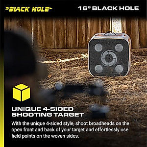Black Hole 61212 Crossbow Target 16"