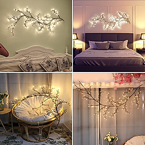 H-Wniniai Vines for Bedroom Birch Fall Garland, 6FT 18 Branches 144LED, 8 Modes Artificial Plants Lighted Willow Vine with Remote Control, Wall Decor for Room Decor, Wall Lights