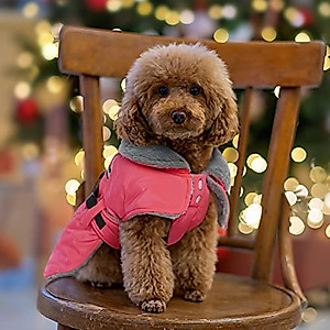 IECOii Dog Winter Clothes, Warm Dog Winter Sweater, Dog Fleece Jacket with Turtle Neck, Dog Waistcoat for Large Dogs Winter Fits for Pitbull, Border Collie, Samoyed, English Bulldogs, XL