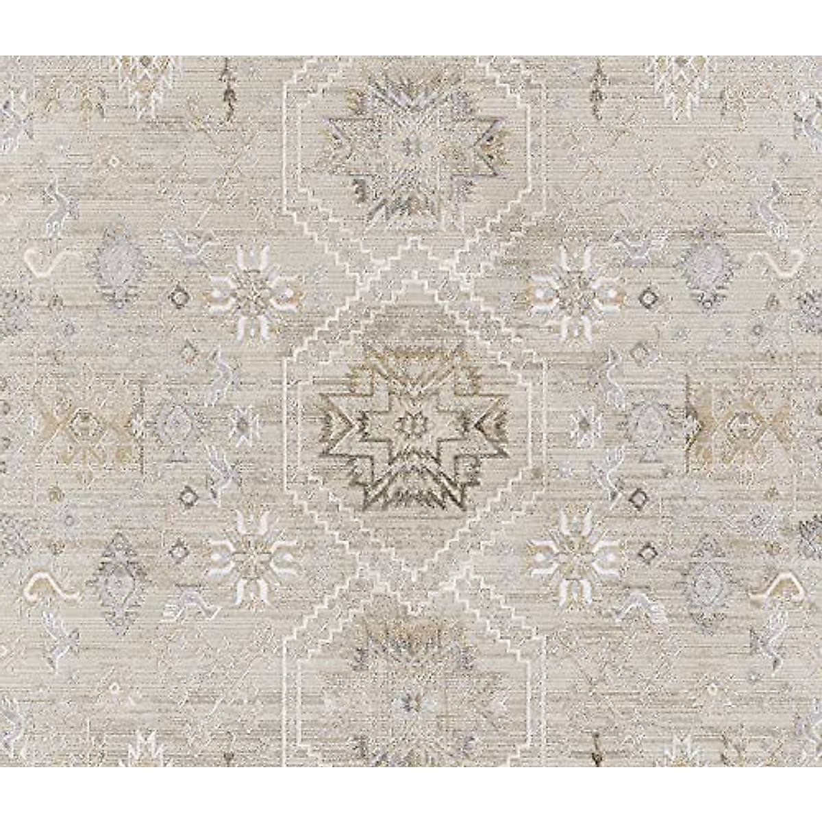 Momeni Cambridge Viscose and PES Traditional Indoor Area Rug, Grey, 3'11" X 5'5"