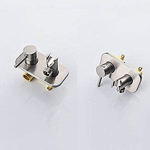 ZLOCYIVHE Handheld Bidet Toilet Sprayer, Shower Bidet Tap Spray Kits Cloth Diaper Sprayer Washer Toilet Cleaning Faucet Spray with Hose for Feminine Wash and Pet,Brushed(Brushed)