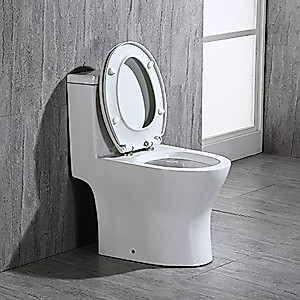 WOODBRIDGEE T-0031 Short Compact Tiny Dual Flush 1.28 GP One Piece Toilet with Soft Closing Seat,1000 Gram MaP Flushing Score Small Toilet,White