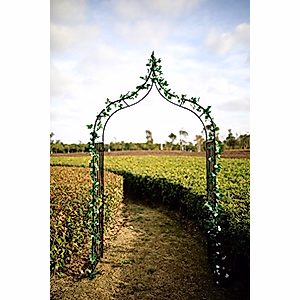 1. GO Gothic Steel Garden Arch, 8'8" High x 4'5" Wide, Garden Arbor for Various Climbing Plant, Outdoor Garden Lawn Backyard