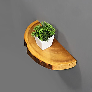[PJ Collection] Small Live Edge Floating Wall Shelf with Paulownia Wood, Natural Wood Shelf, Floating Wall Shelf, Handcrafted Wall Shelf, Live Edge Wall Shelf