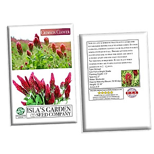Crimson Clover Seeds for Planting, 1500+ Flower Seeds Per Packet, (Isla's Garden Seeds), Non GMO & Heirloom Seeds, Scientific Name: Trifolium incarnatum, 90% Germination Rates, Great Home Garden Gift