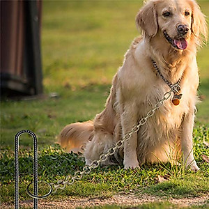 Ground Stakes, Tent Nails Ground Anchors Garden Pegs Landscape Staples Galvanized Steel Heavy Duty Securing Pins for Gardening Camping Tents Trampoline 12' in 6 Pack