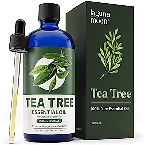 Tea Tree Essential Oil - XXL Bottle w/Organic Drops for Skin, Face, Hair, Scalp, Nails - Fragrance Oil for Aromatherapy, Diffusers, Candle Making, Yoga, Massages, Home Care, Office Essentials (150mL)