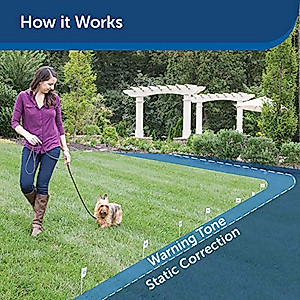 PetSafe Stubborn Dog Receiver Collar, In-Ground Fence Collar, Waterproof, with Tone, Vibration and Static Correction for dogs 8lb and Up - Not Compatible with YardMax and UltraSmart