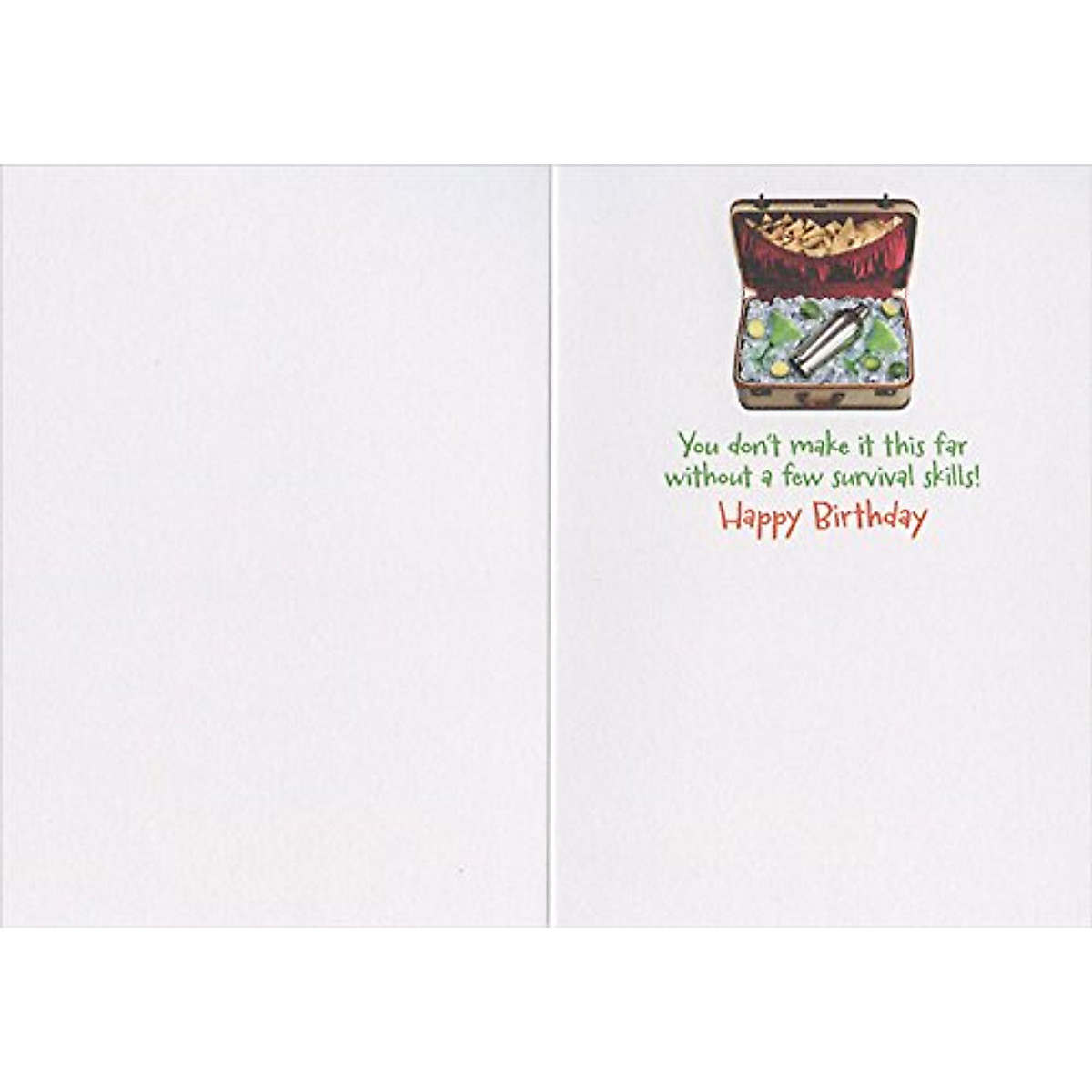 Owl Sombrero Avanti Funny Birthday Card