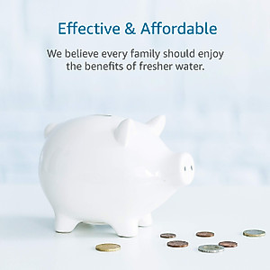 AQUACREST TÜV SÜD Certified Coffee Water Filter, Replacement for De'Longhi 5513292811, DLS C002, CFL-950, SER3017, ECAM/ETAM Series, EC680, BCO420 (Pack of 2, Packing may vary)