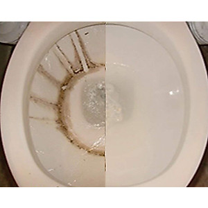 Bioclean Hard Water Stain Remover 20.3 oz